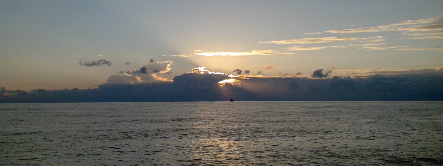 Кошачьи лапки