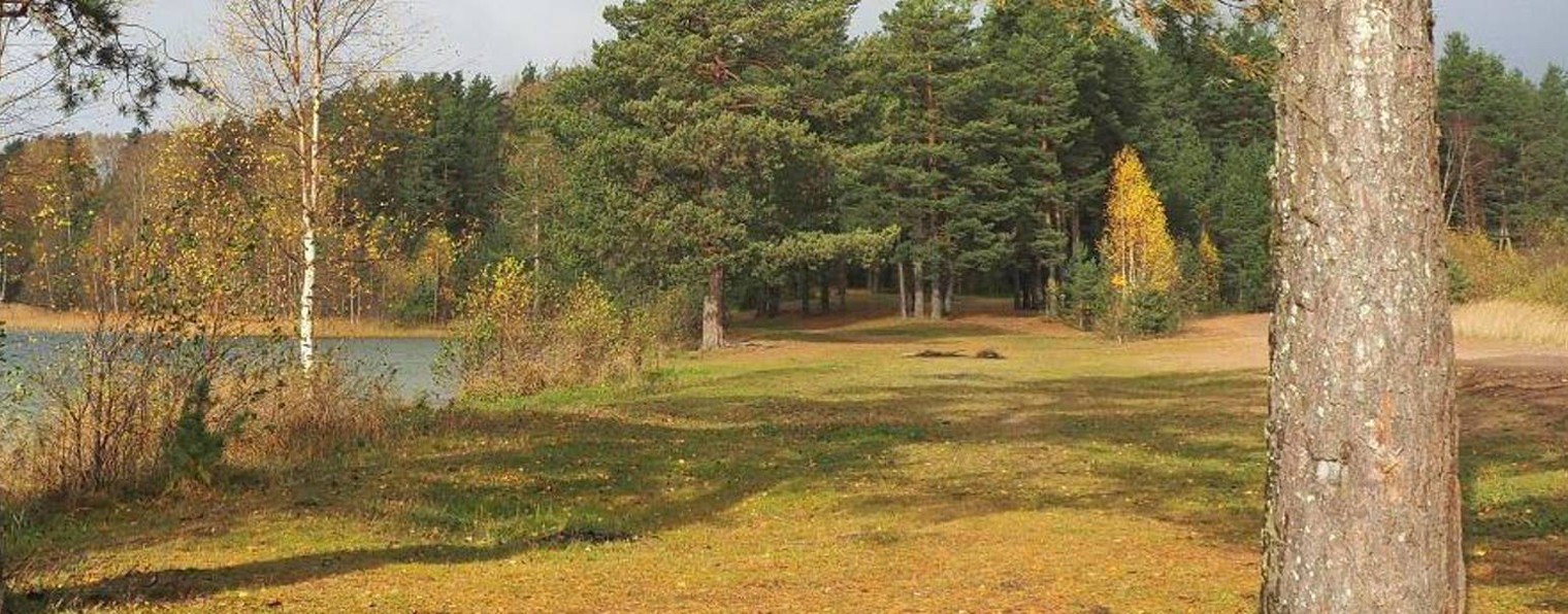 Галина Яворская