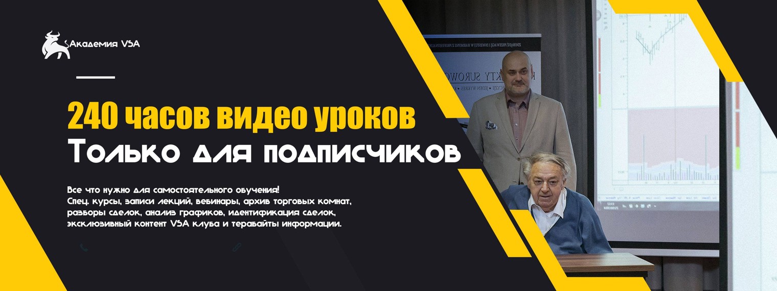 Академия VSA