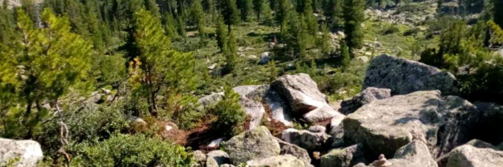 Кирилл Арефьев