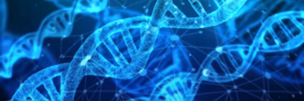 НАУКА И ЖИЗНЬ