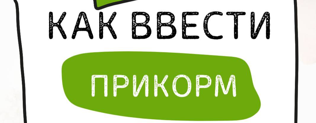 Прикорм ребенка | Безопасная-подача.рф