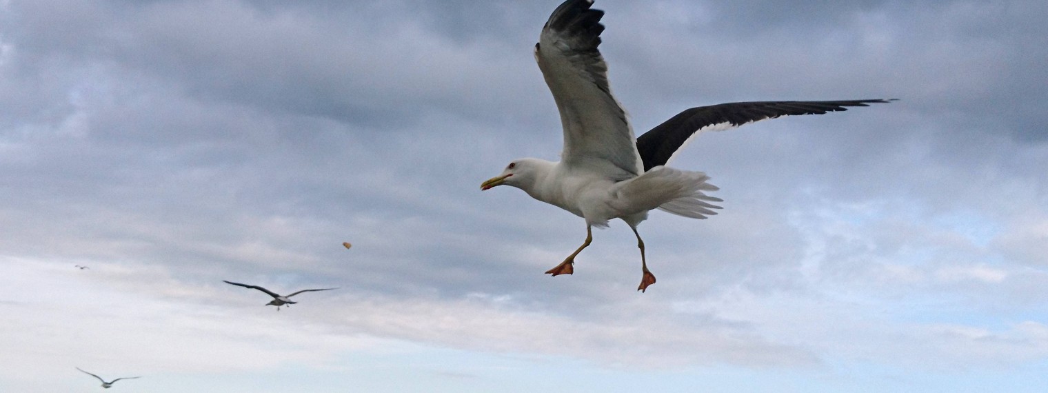 Сергей 39 Леонидович