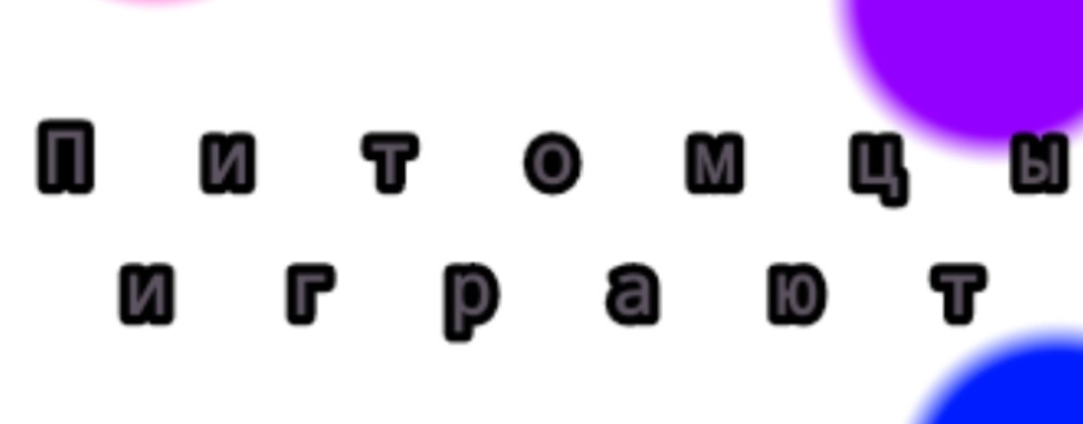 Питомцы играют