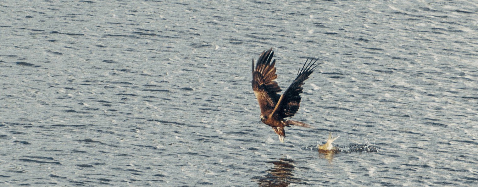Фотограф Дмитрий Изосимов