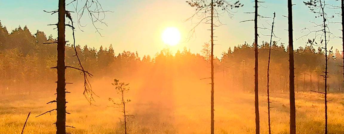 Божественный Путь Духовного Сердца