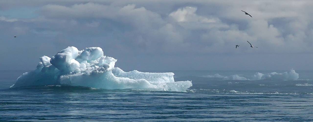 Союз промышленников и предпринимателей Мурманской
