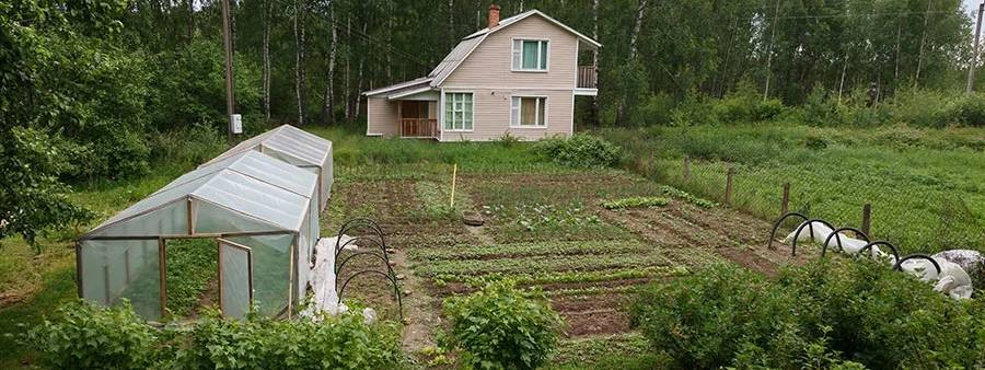 Юмор и лайфхаки.