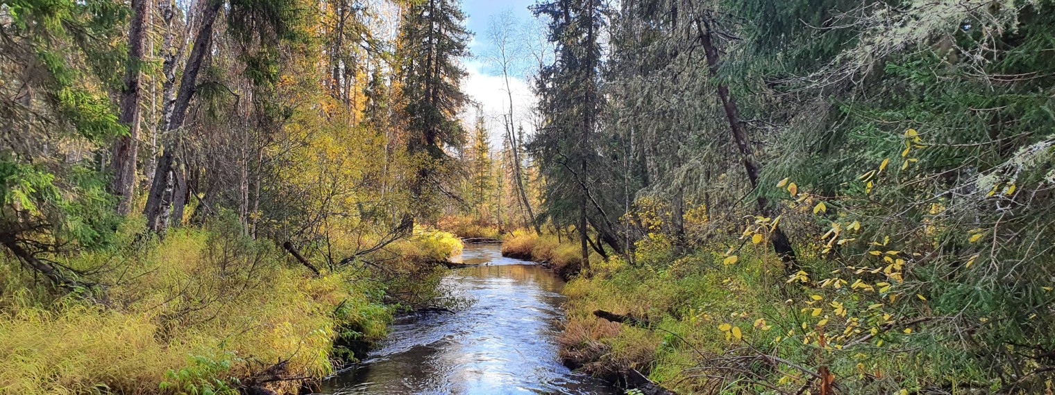 Охота на Рыбалку 86