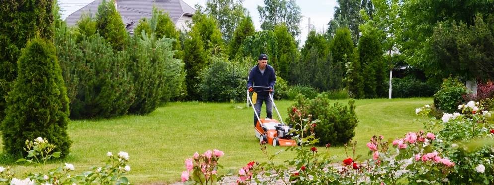 Уход за садом и газоном в СПб и Л.о
