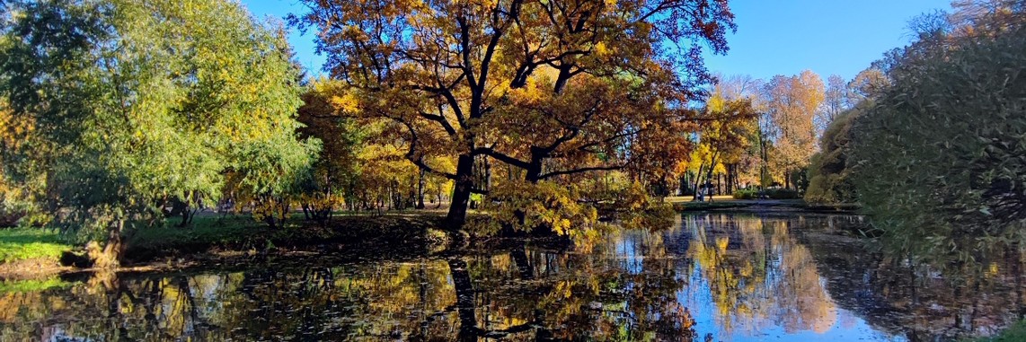 Никифоров Денис