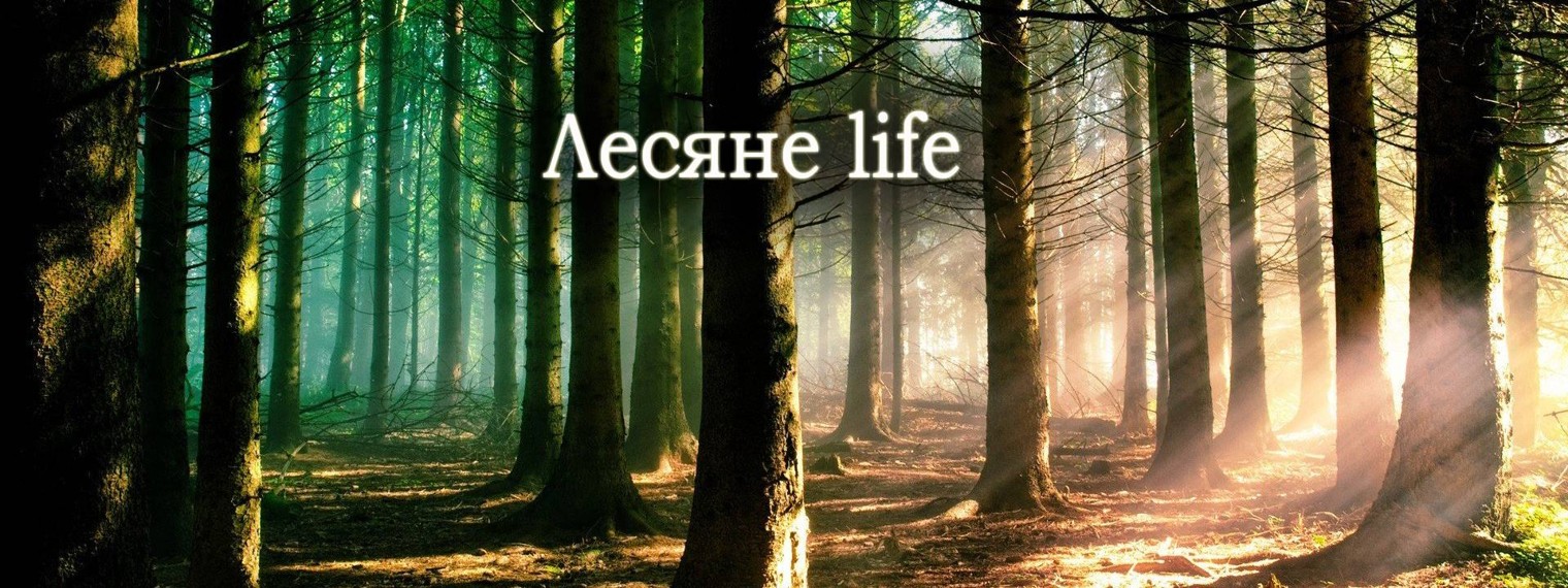 Лесяне LIFE