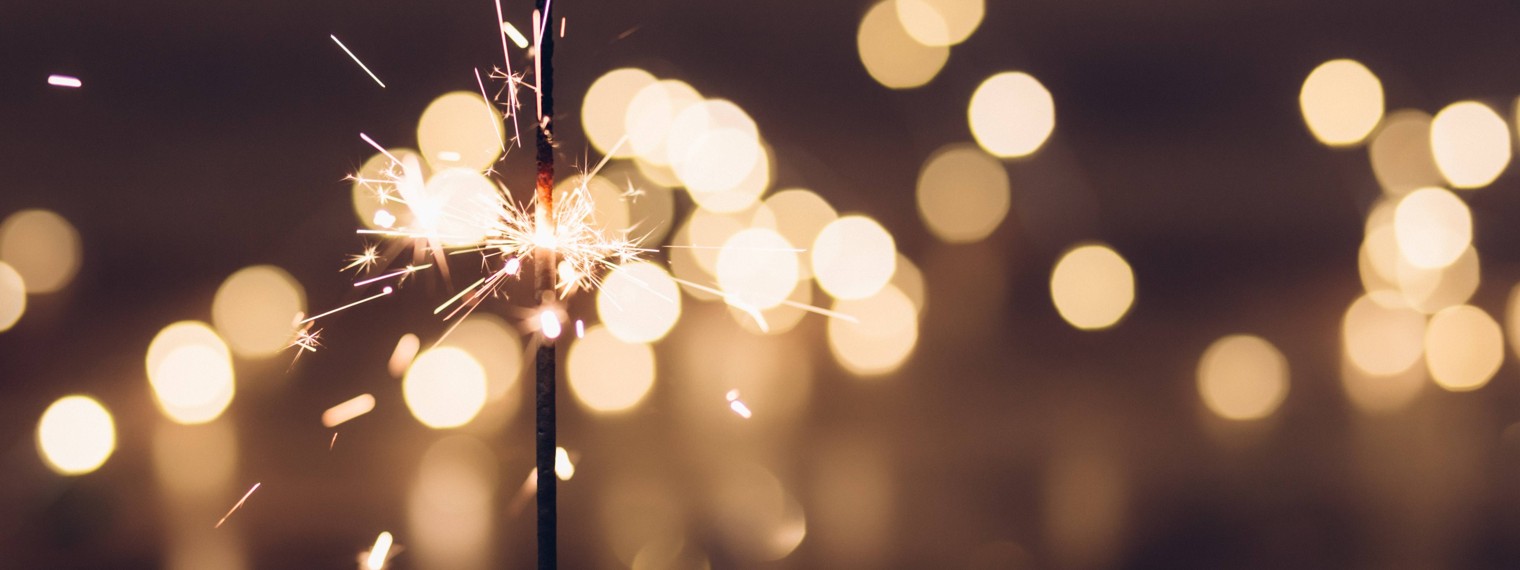 Светлана Коппел-Ковтун