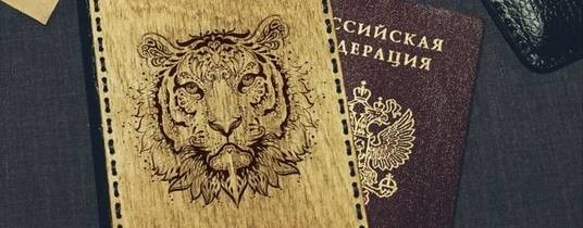 Юлия Золотова