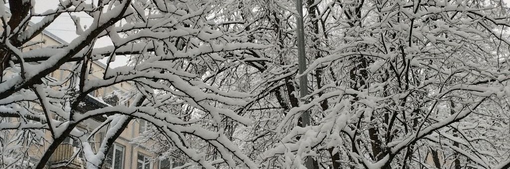 Nathalie, Натали