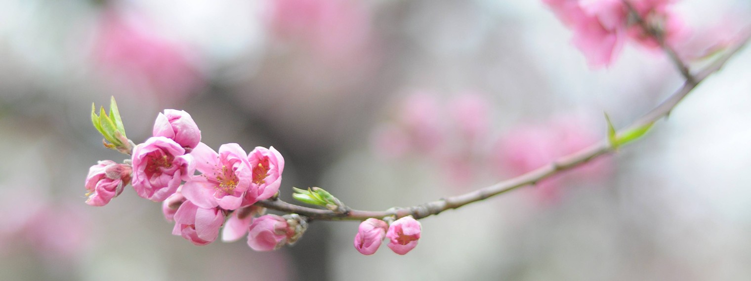В ПОТОКЕ СТРАНСТВИЙ. ИСКУССТВО И ПУТЕШЕСТВИЯ.