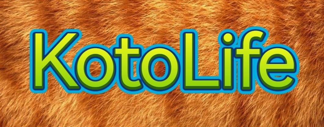 Koto_life