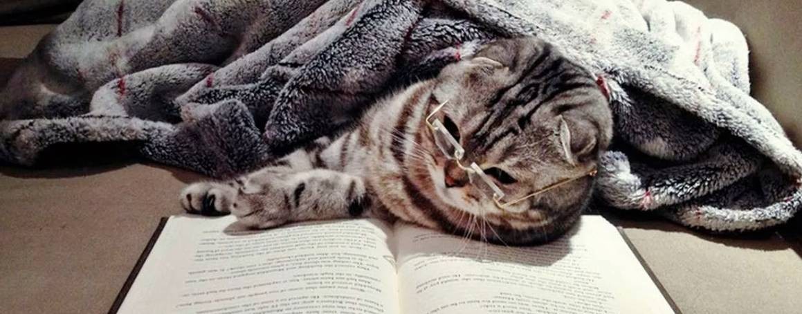 Жизненные истории