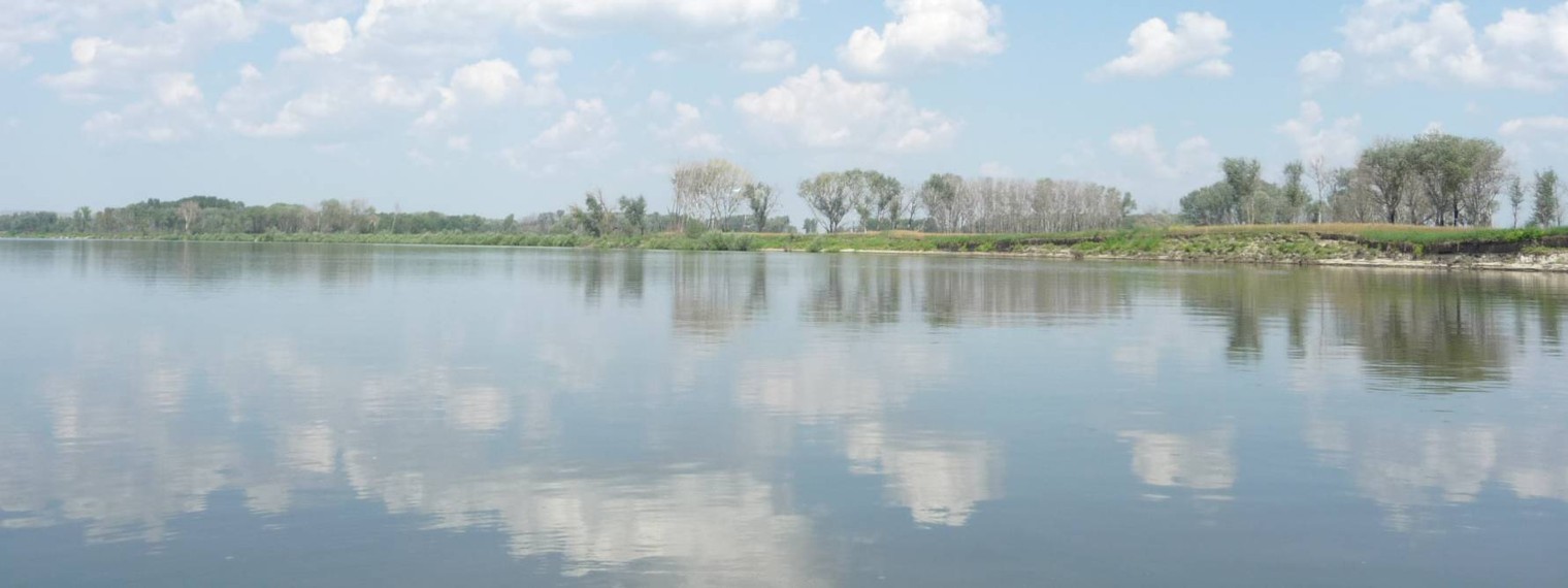 Удачим с Борисычем