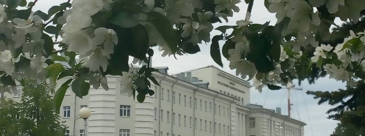 Абитуриент СГМУ (г.Архангельск)