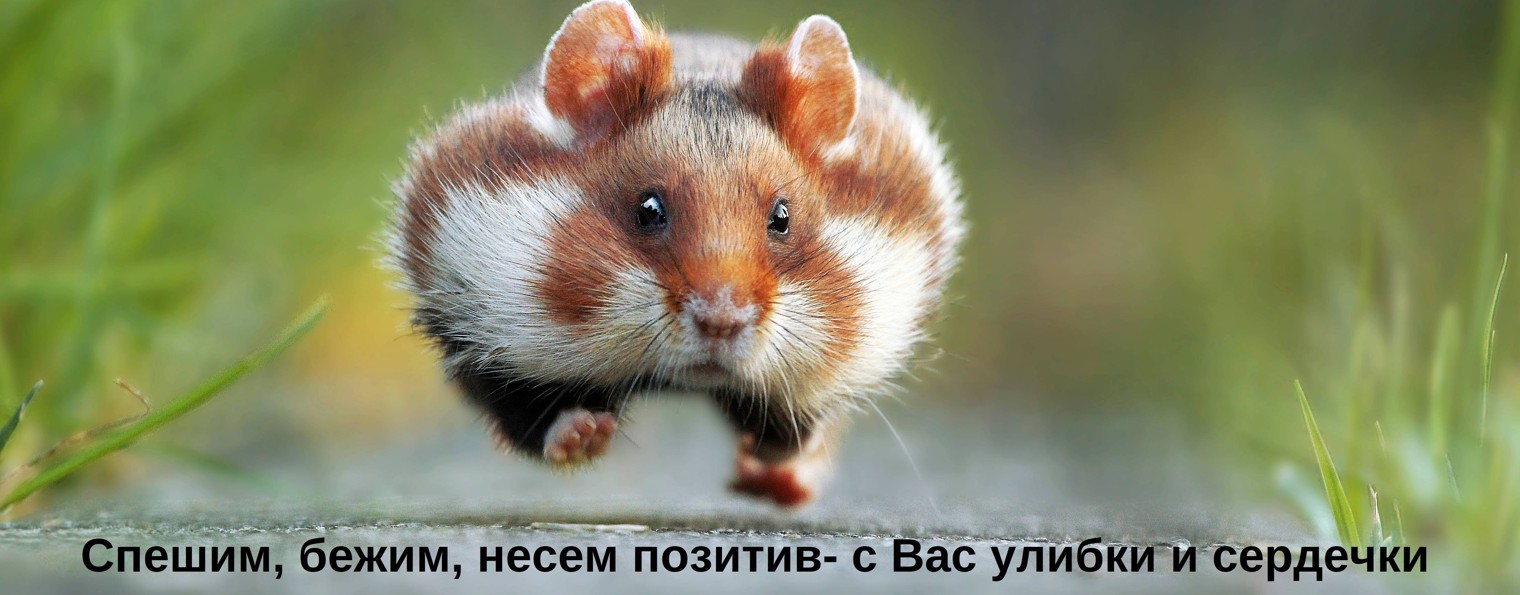 🔥Здесь живет позитив.🔥