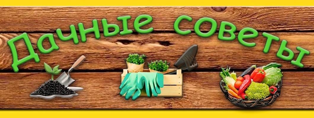 ДАЧНЫЕ СОВЕТЫ