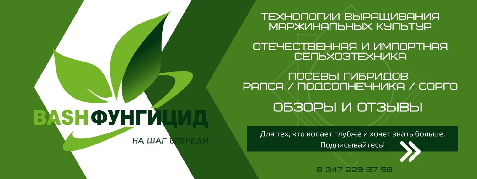 BASH-ФУНГИЦИД