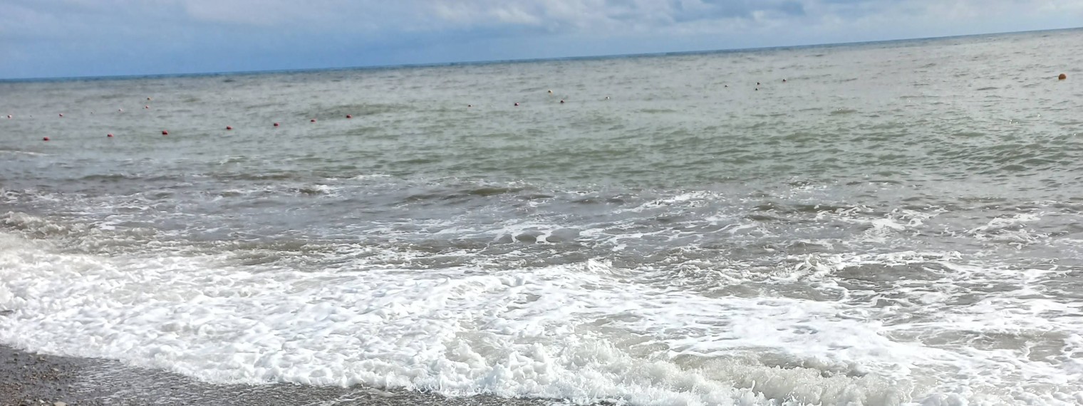 ТОП Сочи! Made in Sochi