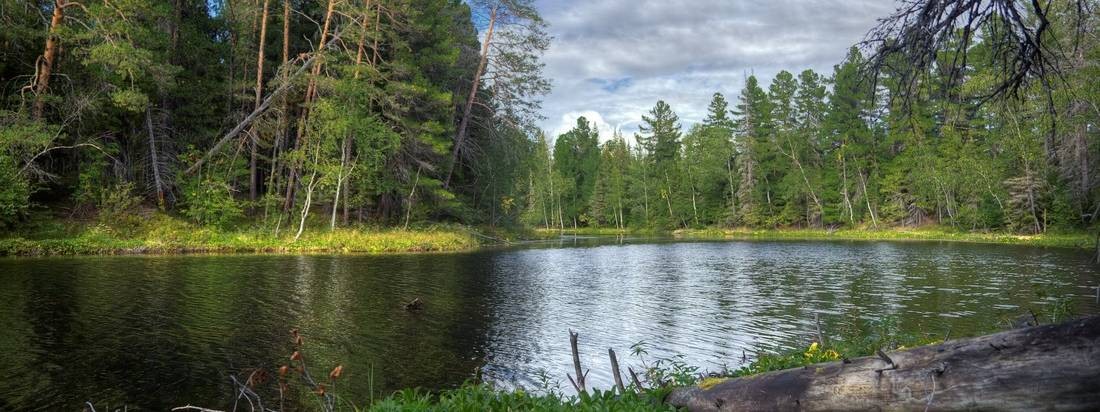 ТАЙГА СИБИРИ