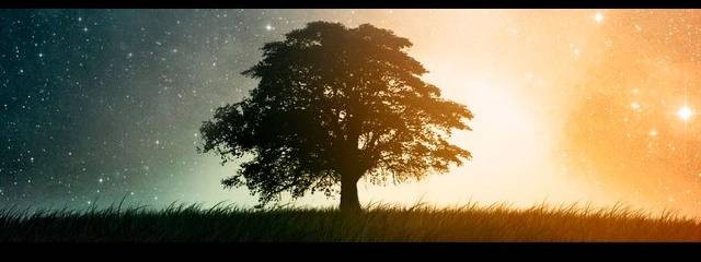 Станислав Даренских