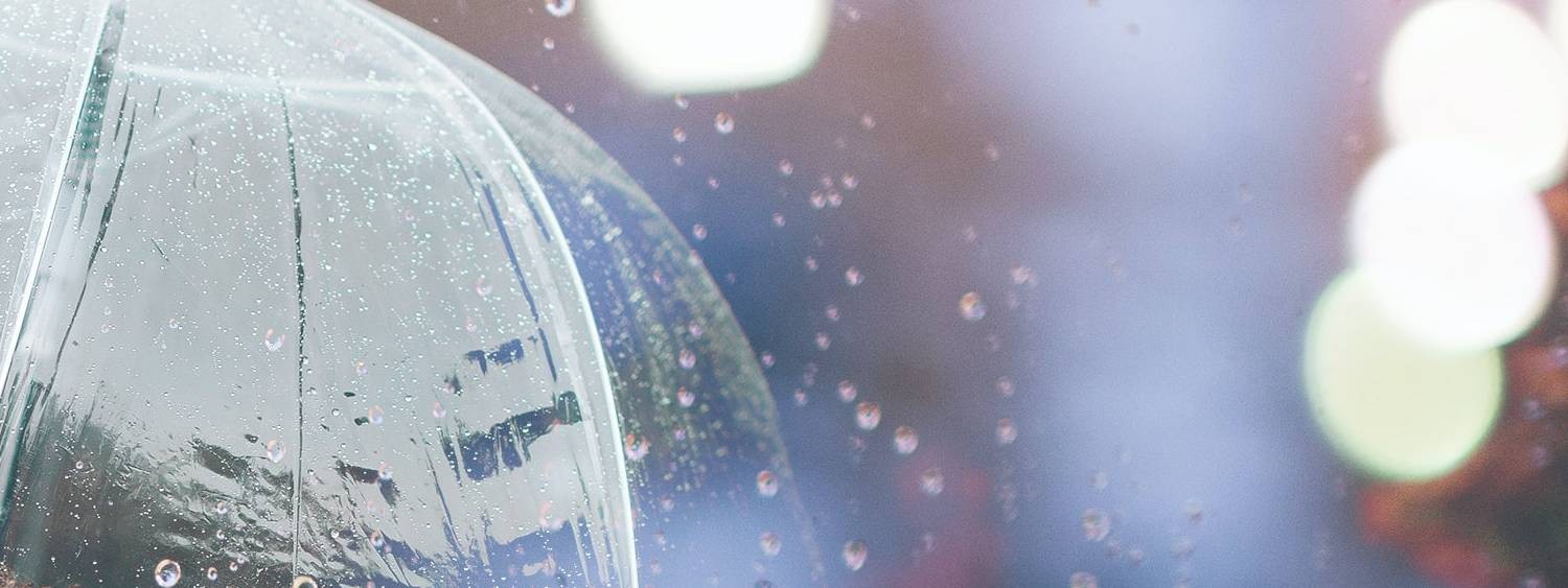 Школа Митра Варуна