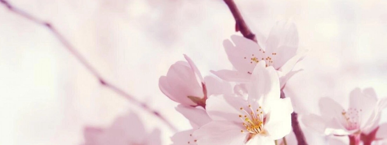 Любавин Сад