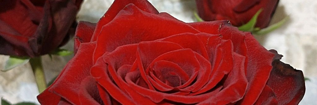 Кирпиченкова Людмила