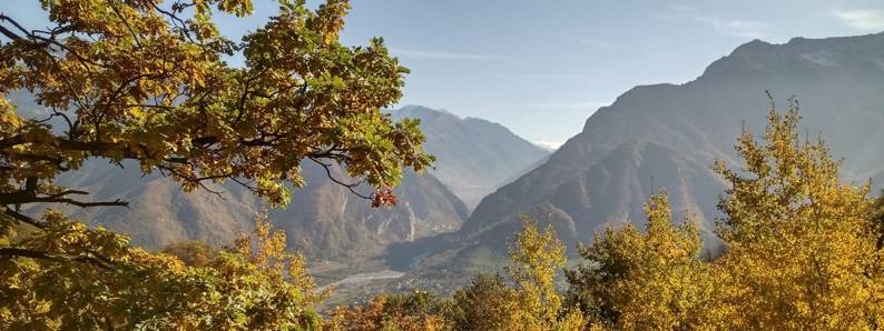 ГБУ ДО РЦДЮТЭ РСО- Алания, Владикавказ