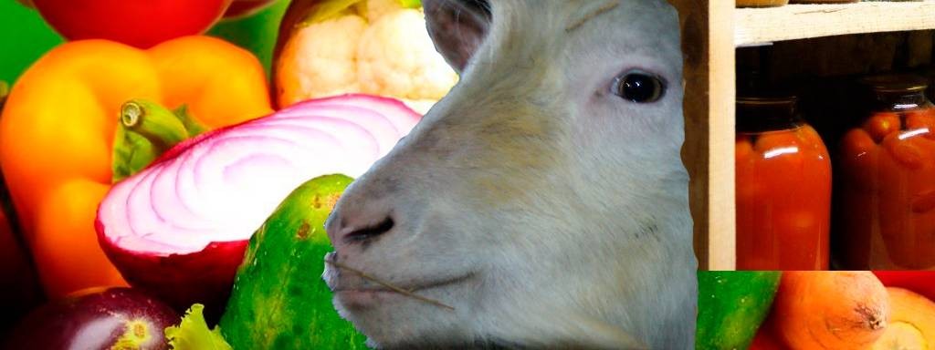 Житьё бытьё домохозяйки