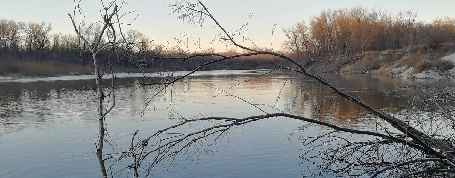 Александр Исаич