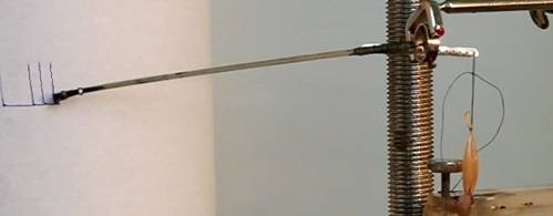 Светлана  Крыжановская. Физиология.