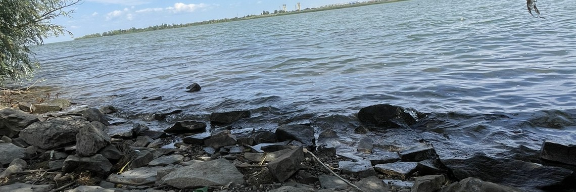 Апполинария