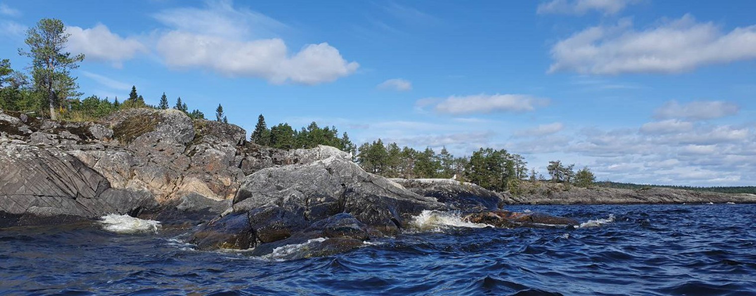 Дмитрий Навроцкий @ElkinVolkin
