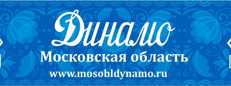 Динамо Московская область