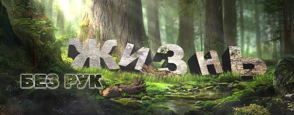 Жизнь без рук