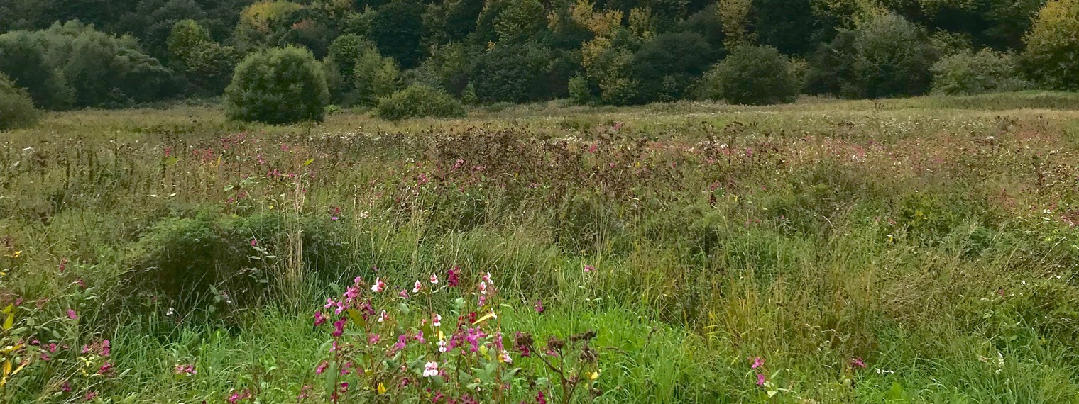 БАБА ЯГАдка🍓