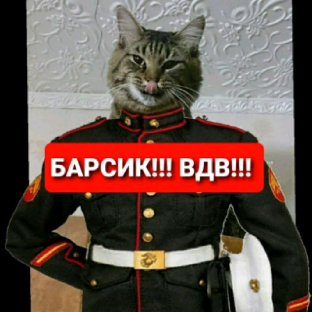 БАРСИК!!!ВДВ!!!