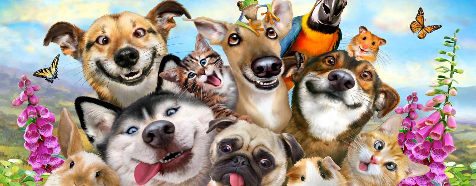 Смешные животные