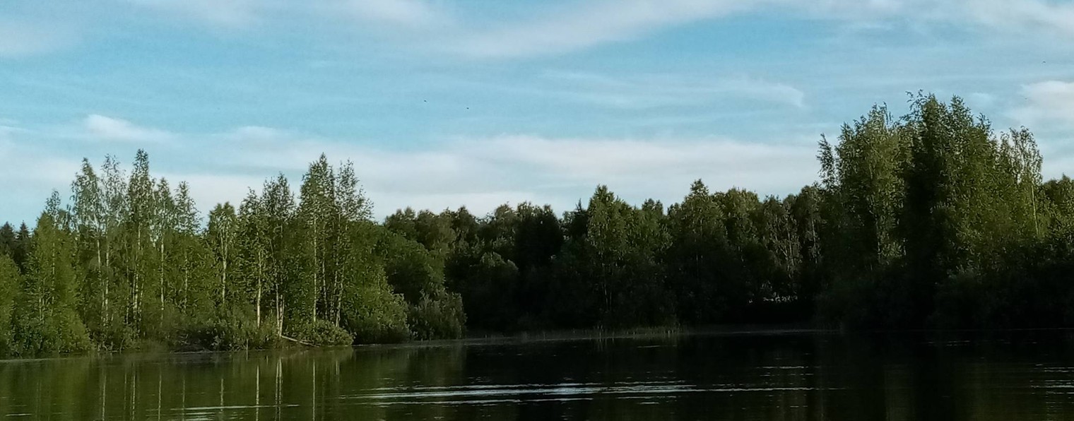 Александр Нежданский