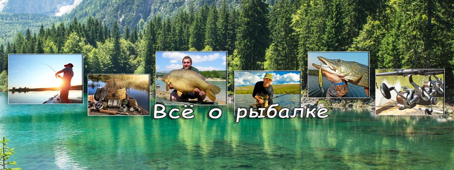 Всё о Рыбалке