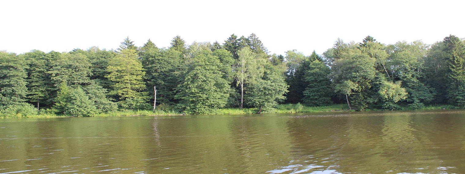 Ермаков Сергей