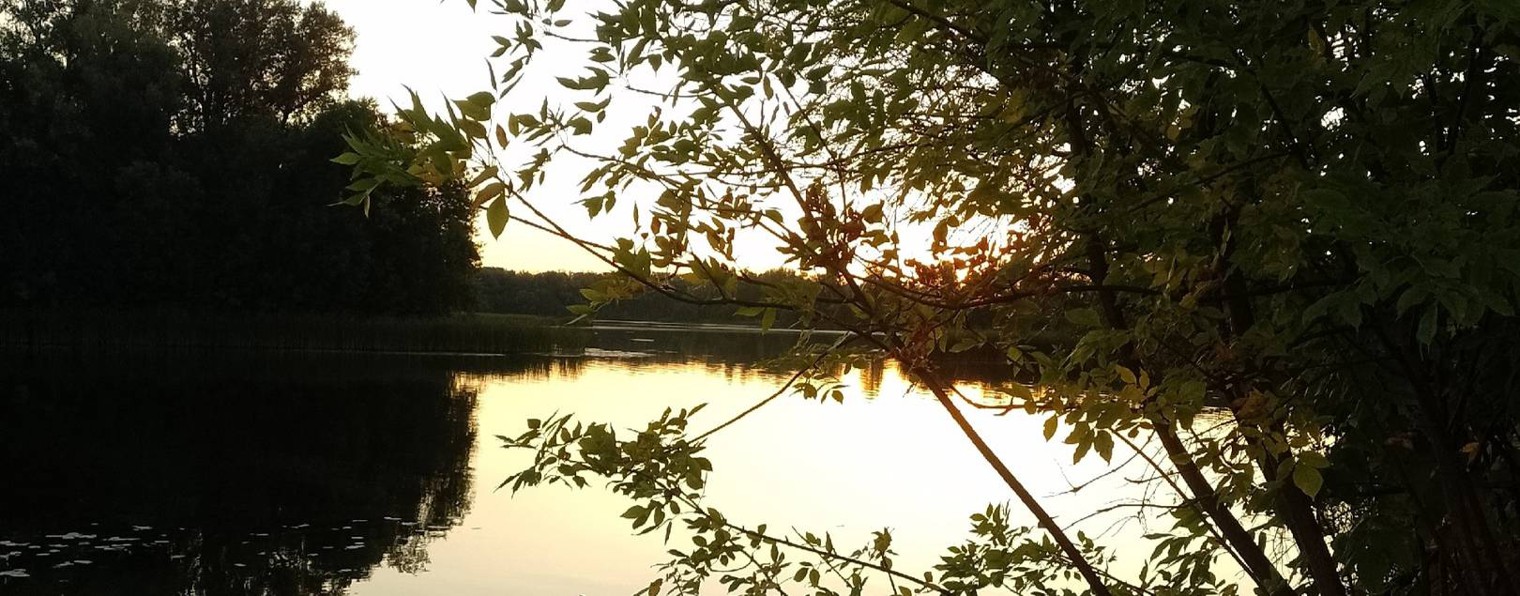 Так и живем...