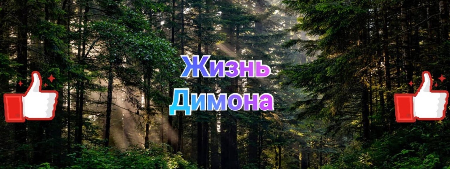 Жизнь Димона