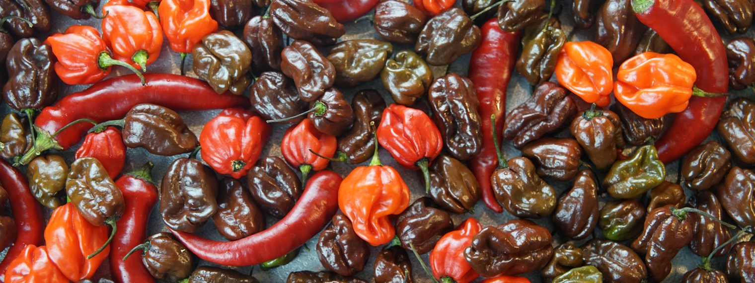 ОстрейшинаHD